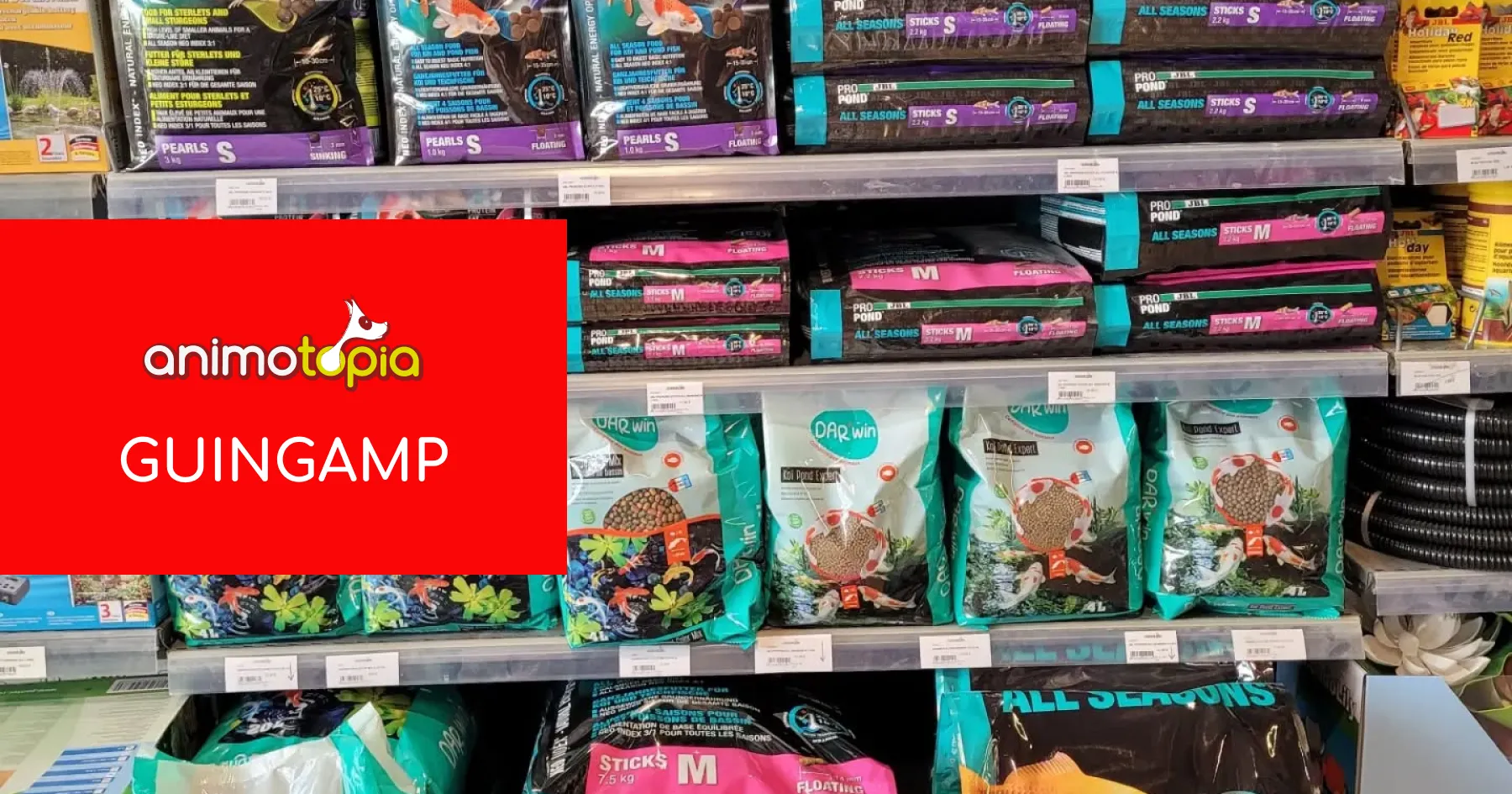 ANIMOTOPIA - Magasin d’animalerie à Guingamp